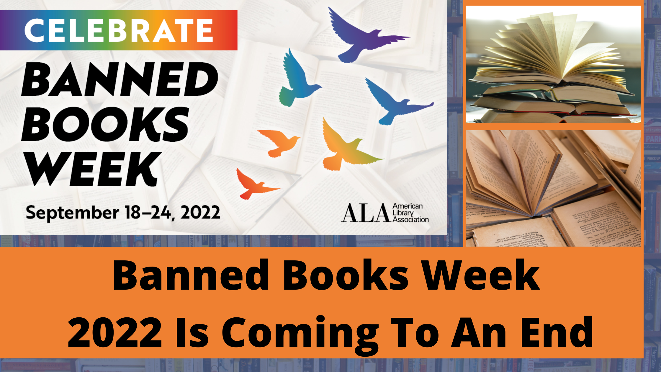 Banned Books Week 2022: The End Has Come – Eclectic Erin